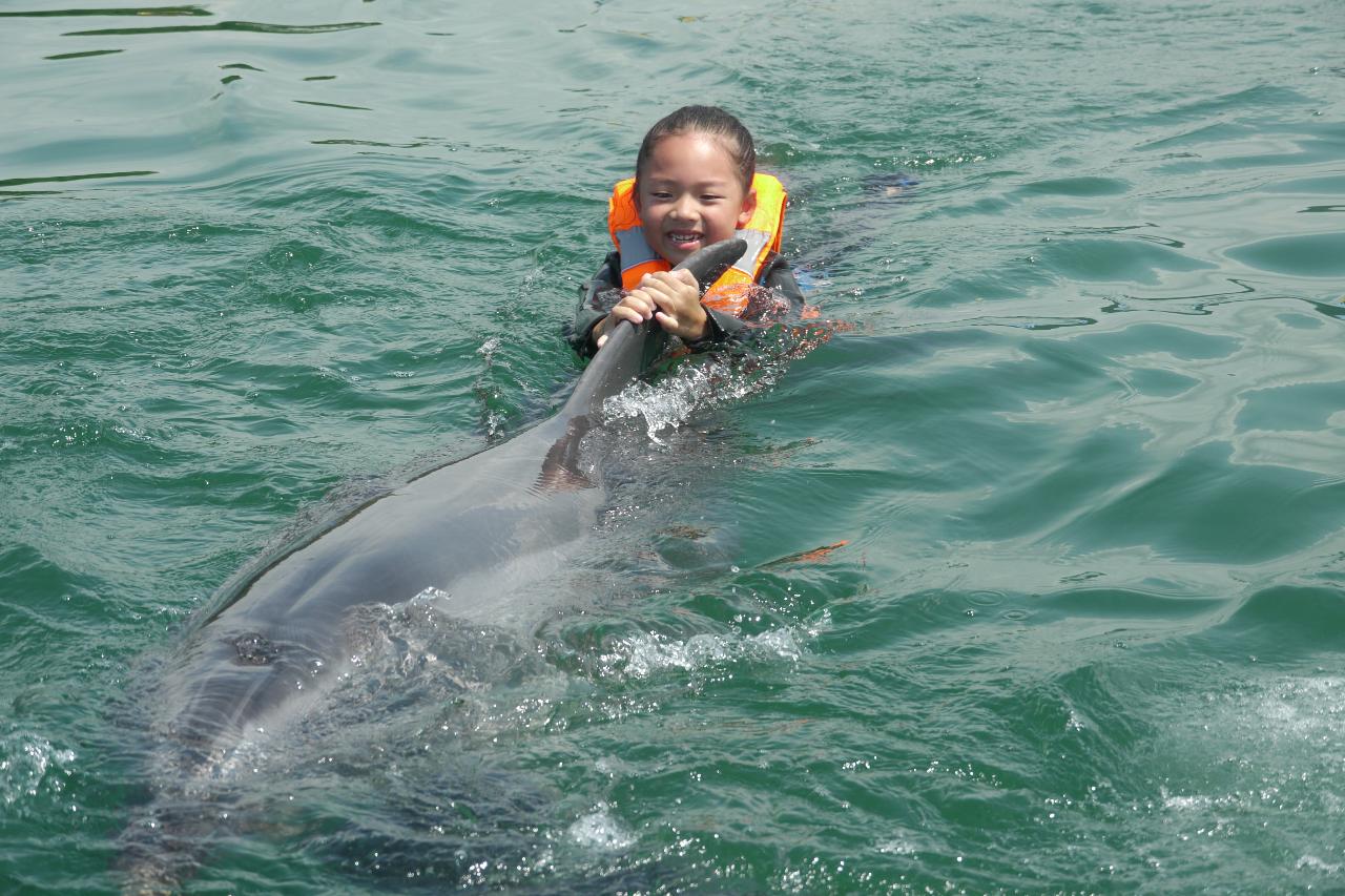 Dolphin Tour - Swim With Dolphins in Japan - Nihon Dolphin Center Tour ...