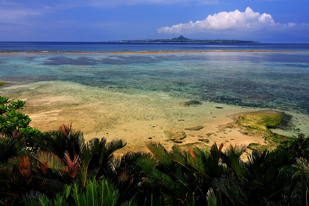 Okinawa Area Experiences - Japan Travel and Tours